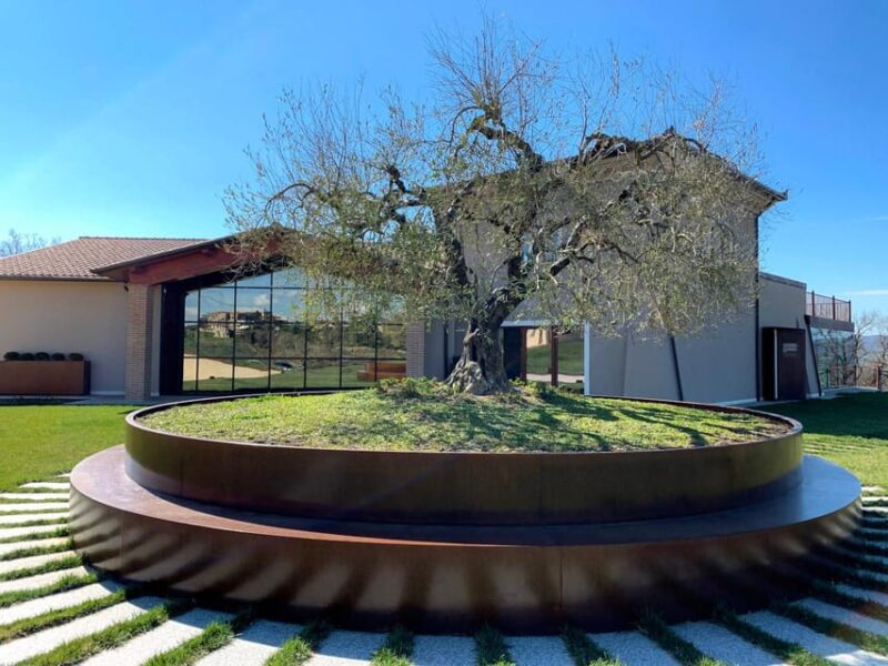 1-Hour Private Tour of the Oil Mill with Tasting - Authenticity and Engagement