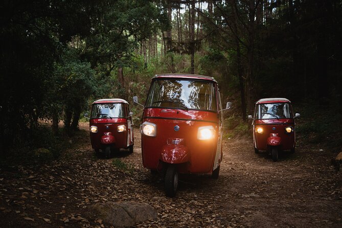 1 Hour Private Tuk-Tuk Tour in Sintra - Availability and Scheduling