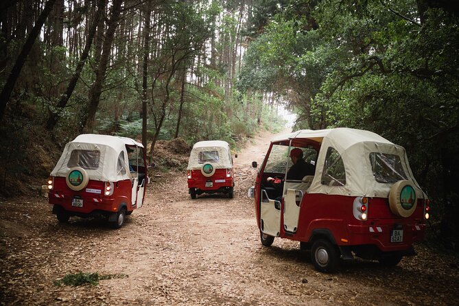 1 Hour Private Tuk-Tuk Tour in Sintra - Lowest Price Guarantee