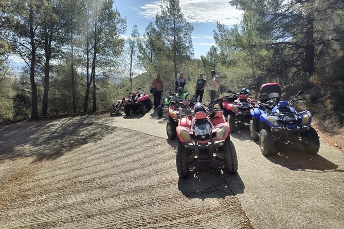 1 Hour Quad / ATV Tour through the Altea Jungle - Key Points