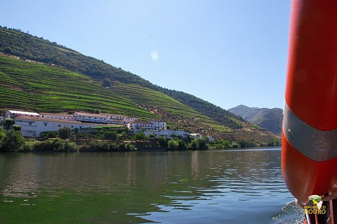 1-Hour Rabelo Boat Trip in Pinhão - Picturesque Douro Valley Scenery