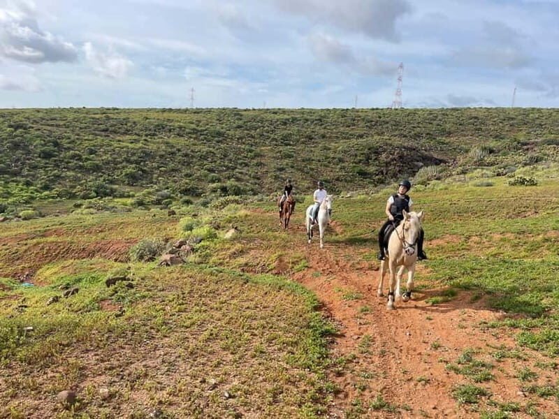 1 hour relaxing horse riding tour in Gran Canaria - What the Tour Offers: A Detailed Breakdown