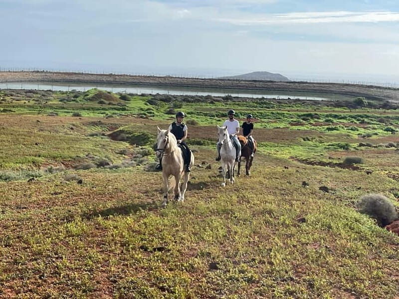 1 hour relaxing horse riding tour in Gran Canaria - Who Will Love This Tour?