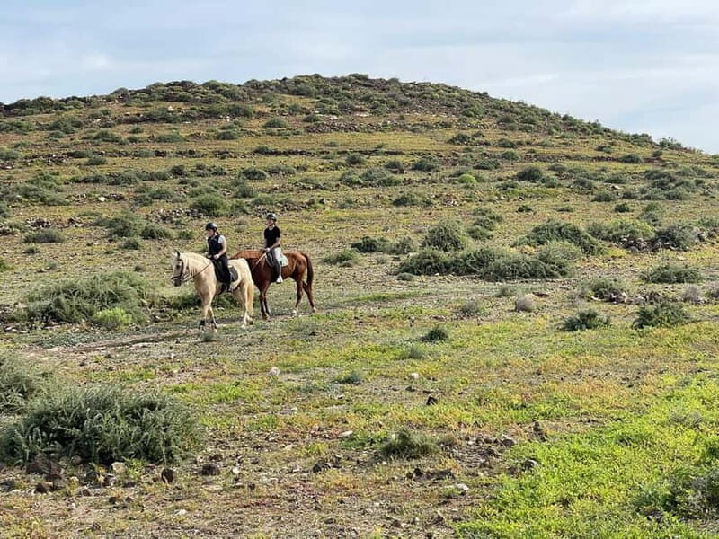 1 hour relaxing horse riding tour in Gran Canaria - FAQ