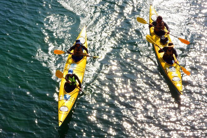1 Hour Rental Deluxe Double Sea Kayak - Why Choose the 1 Hour Deluxe Double Sea Kayak?