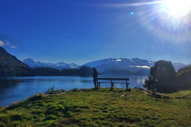 1-Hour Ruby Island Cruise and Walk from Wanaka - An In-Depth Look at the Tour Experience