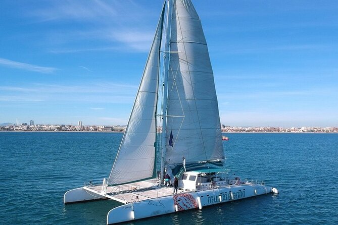 1 Hour Sailing Excursion in Valencia - The Experience vs. Expectations