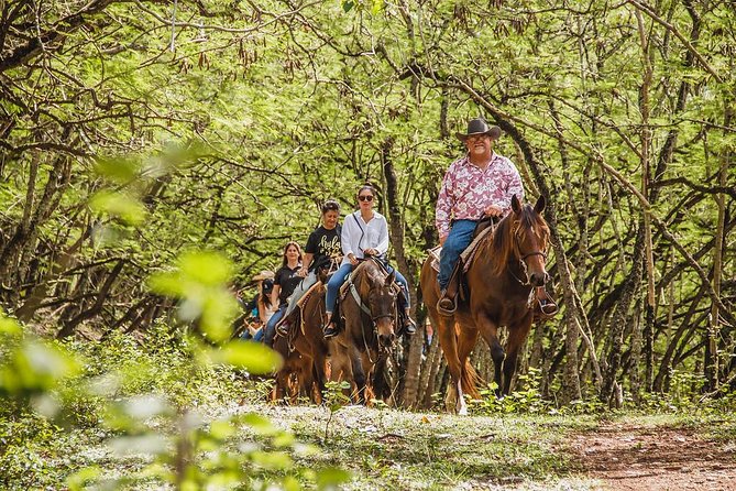 1 Hour Scenic Horseback Ride - An In-Depth Look at the 1-Hour Scenic Horseback Ride