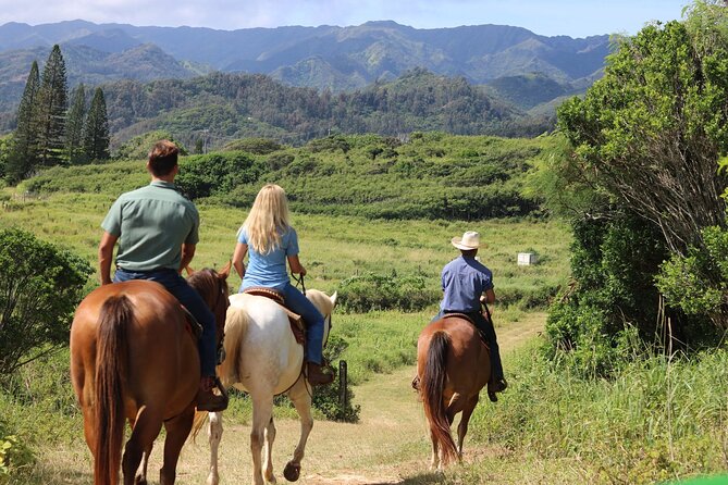 1 Hour Scenic Horseback Ride - Final Thoughts