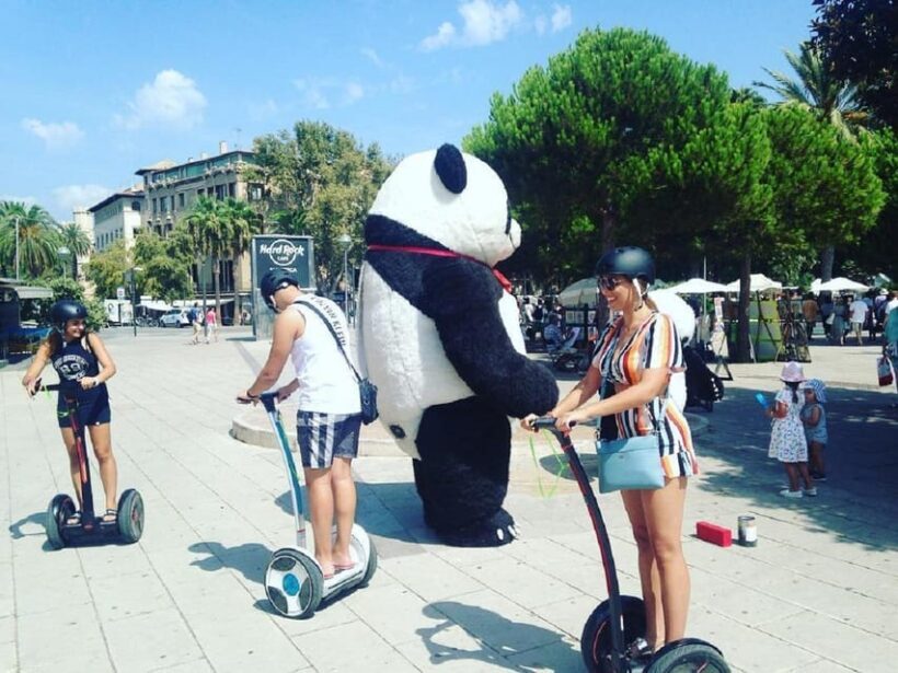 1 Hour Segway tour in Palma de Mallorca - Final Thoughts: Is This Tour Right for You?