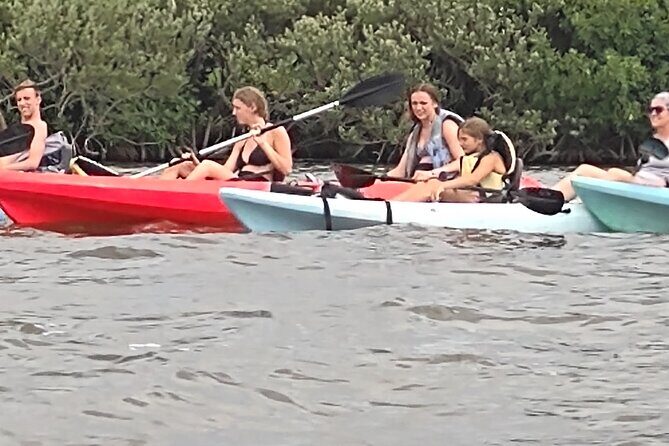 1-Hour Single Kayak Rental with Manatee & Dolphin sightings - An In-Depth Look at the Experience