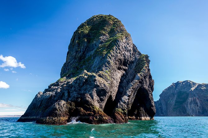 1-Hour Small Group Sightseeing Boat Tour in Vestmannaeyjar - FAQs About the Vestmannaeyjar Small-Group Boat Tour
