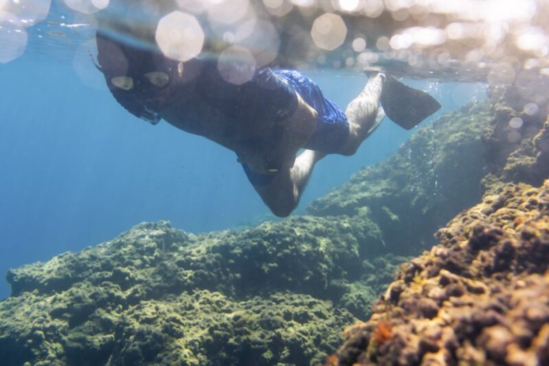 1-Hour Snorkeling Tour in Paraggi Bay, Portofino - The Value of This Experience