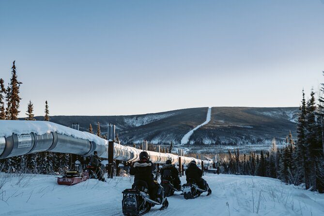 1 Hour Snowmobile Adventure in Boreal Forest - Exploring the 1 Hour Snowmobile Adventure in the Boreal Forest: A Practical Review
