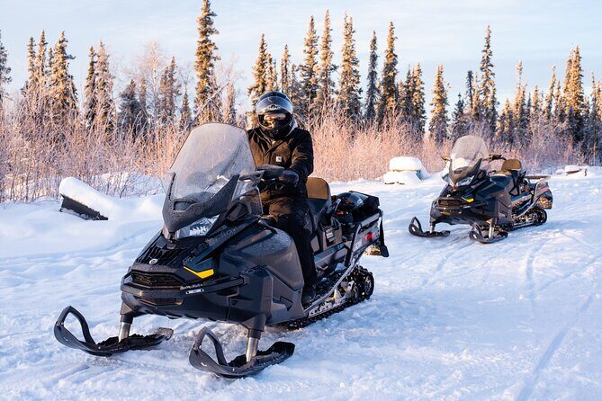 1 Hour Snowmobile Adventure in Boreal Forest - Who Will Love This Experience?