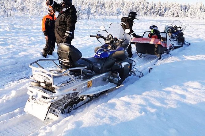 1-Hour Snowmobile Safari Experience - Accessibility and Group Size