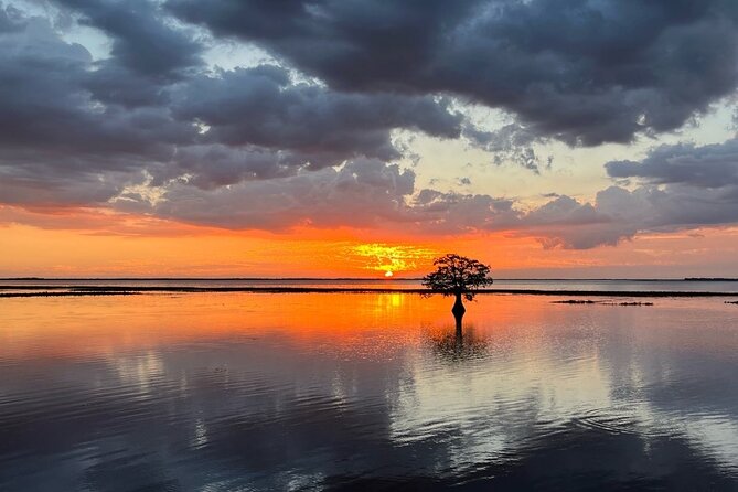 1-Hour Sunset Airboat Ride Near Orlando - Weather and Safety