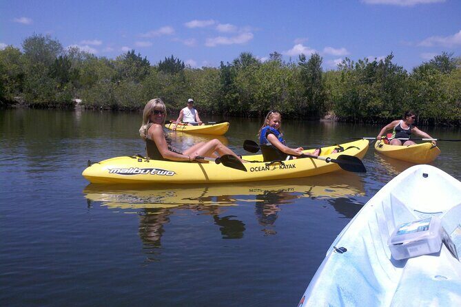 1-Hour Tandem Kayak Rental with Manatee & Dolphin sightings - Exploring the Indian River: What to Expect
