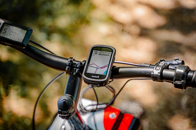 1 hour walk - The Gabarres river route - What Youll Experience