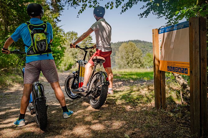 1 hour walk - The Gabarres river route - Authenticity and Customer Feedback