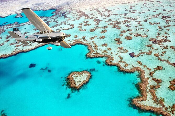 1-Hour Whitsunday Islands and Heart Reef Scenic Flight - What You Can Expect from the Scenic Flight Experience
