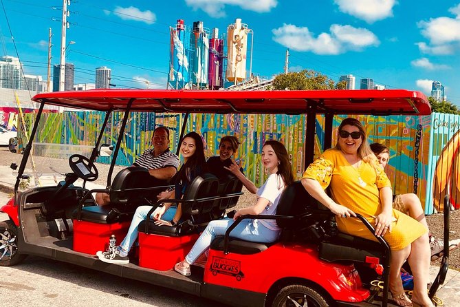1 Hour WYNWOOD BUGGIES tour - The Details of the Wynwood Buggies Experience
