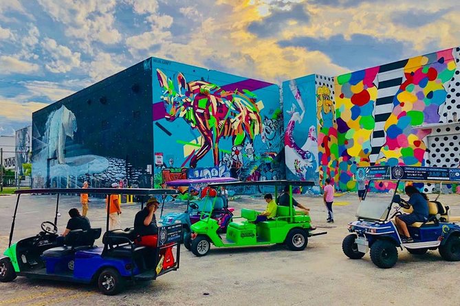 1 Hour WYNWOOD BUGGIES tour - The Value and Practical Considerations