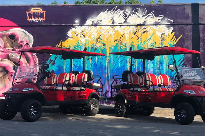 1 Hour WYNWOOD BUGGIES tour - Who Will Love This Tour