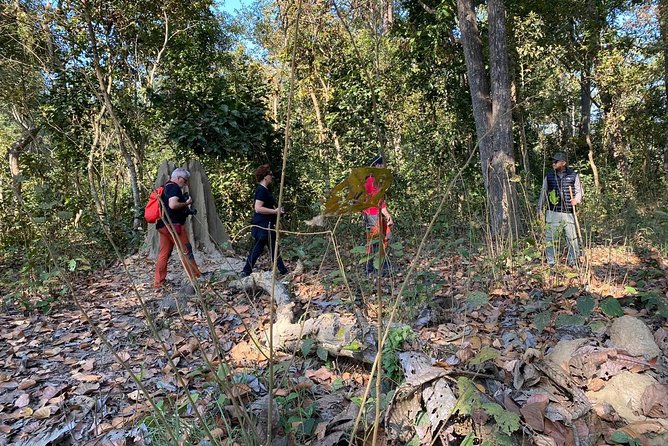 1 Night 2 Days Chitwan Jungle Safari Tour from Kathmandu - The Value of the Tour