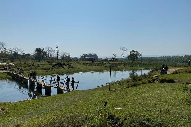 1 Night 2 Days Chitwan Jungle Safari Tour from Kathmandu - Final Thoughts