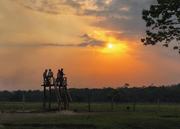 1 Night 2 Days Chitwan Jungle Safari Tour from Pokhara or Kathmandu - Introduction