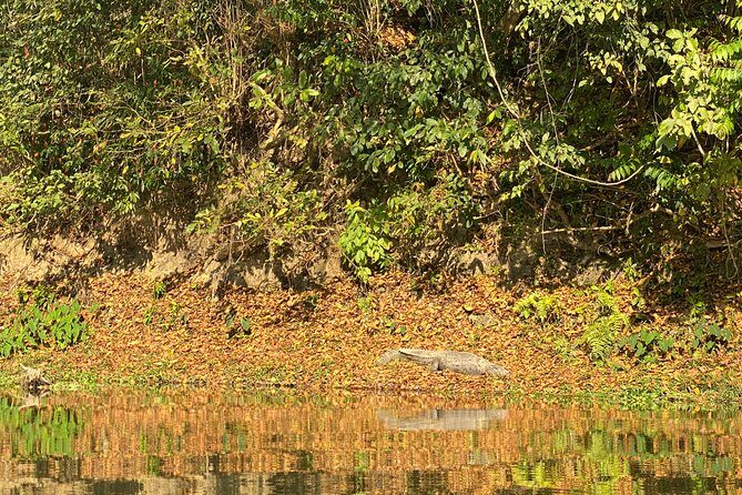 1 Night 2 Days Chitwan Jungle Safari Tour from Pokhara or Kathmandu - Key Points
