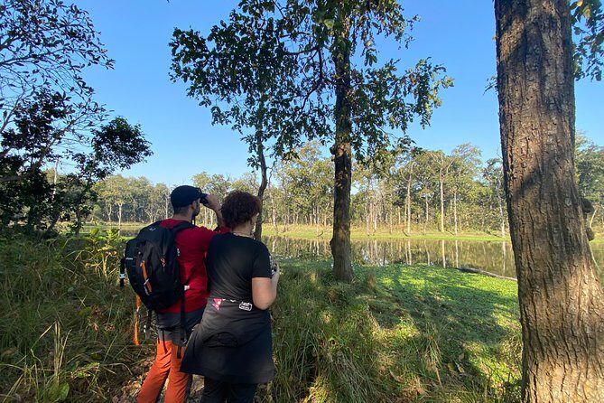 1 Night 2 Days Chitwan Jungle Safari Tour from Pokhara or Kathmandu - Deep Dive into the Experience