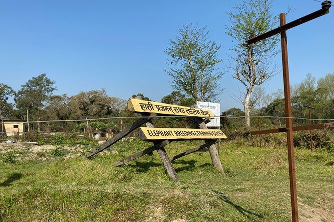 1 Night 2 Days Chitwan Safari Tour - 1 Night 2 Days Chitwan Safari Tour: An Authentic Wildlife Escape in Nepal