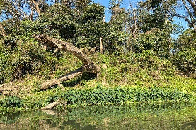 1 Night 2 Days Chitwan Safari Tour - Experience Overview: What’s on the Itinerary and Why It Matters
