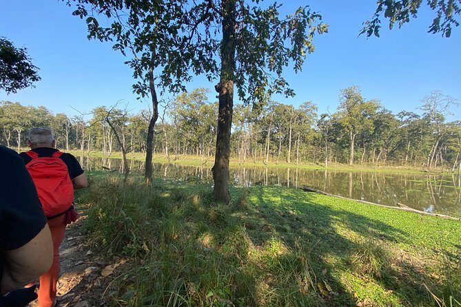1 Night 2 Days Chitwan Safari Tour - Final Thoughts