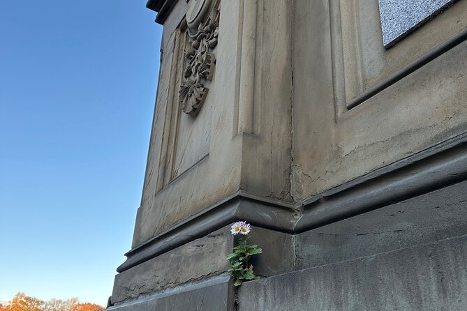 1 or 2 hour Central Park Pedicab Tour. - Is It Worth the Price?