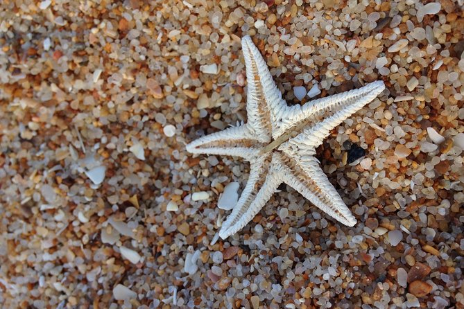 1 or 2 Hour Speed Boat Tour - Ria Formosa - Scenic Views and Marine Life