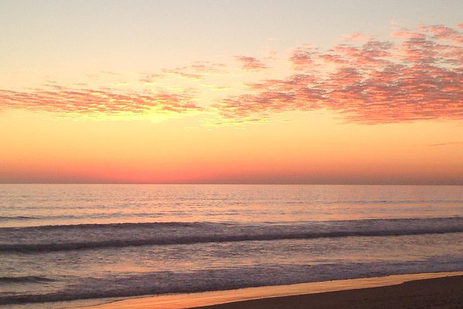 1 or 2 Hour Speed Boat Tour - Ria Formosa - Cancellation and Booking Flexibility