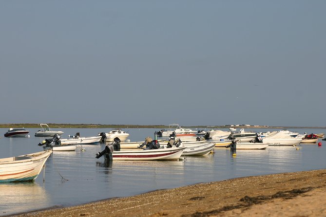 1 or 2 Hour Speed Boat Tour - Ria Formosa - Ria Formosa: The Ideal Destination