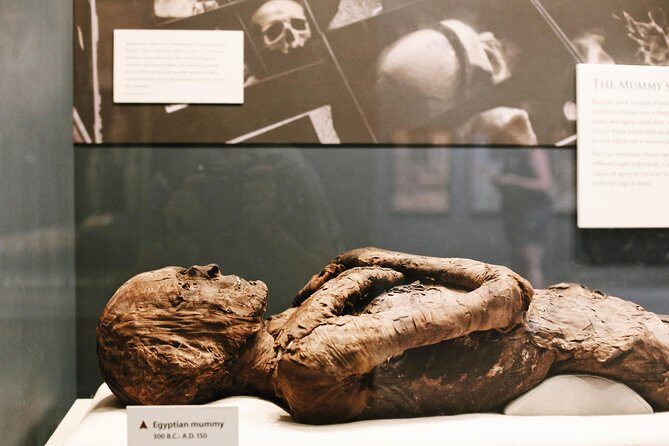 #1 Smithsonian Natural History + American History Museum Tour - The Sum Up