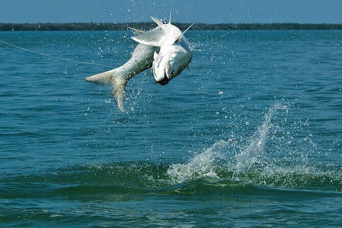 #1 Top Rated - Calm Water Inshore Fishing Charter In Your Area - A Closer Look at the Experience