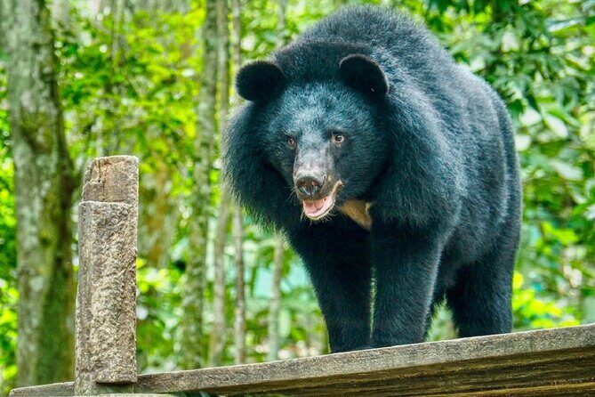 10 Day Ethical Animals Tour Where the Wild Things Roam - Analyzing the Value and Practicalities