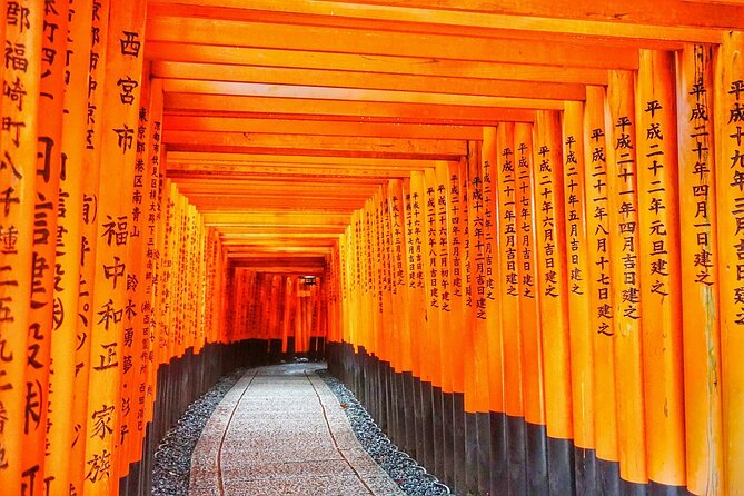 10-Day Golden Route of Japan - Accommodations and Transportation