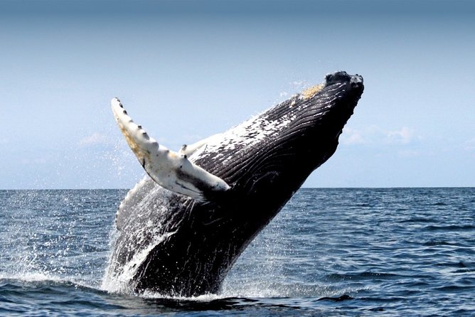 10 Day Iceland with Reykjavik Golden Circle Akureyri Blue Lagoon South Snaefells - Experience the Best of Iceland in 10 Days: A Practical, In-Depth Review