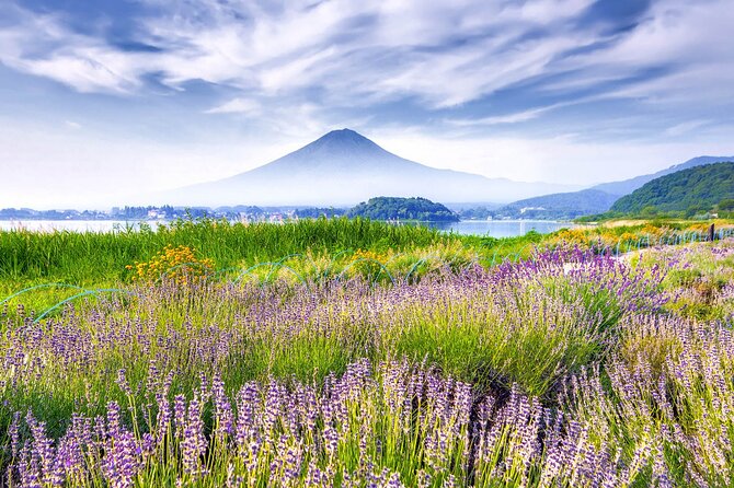 10 Day Japan Private Tour Unveiling Maximum Attractions - Key Points