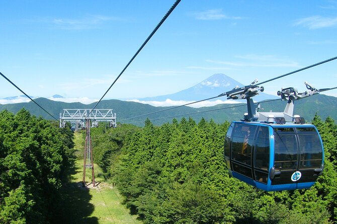 10 Day Japan Private Tour Unveiling Maximum Attractions - Accessibility and Participation