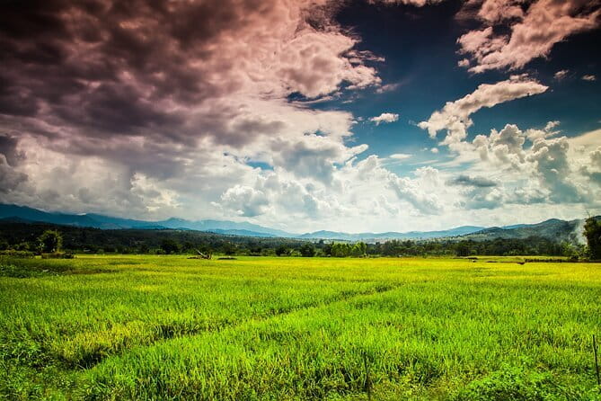 10 Day Motorcycle Tour (Amazing Thailand) from Chiang Mai - The Value and Experience