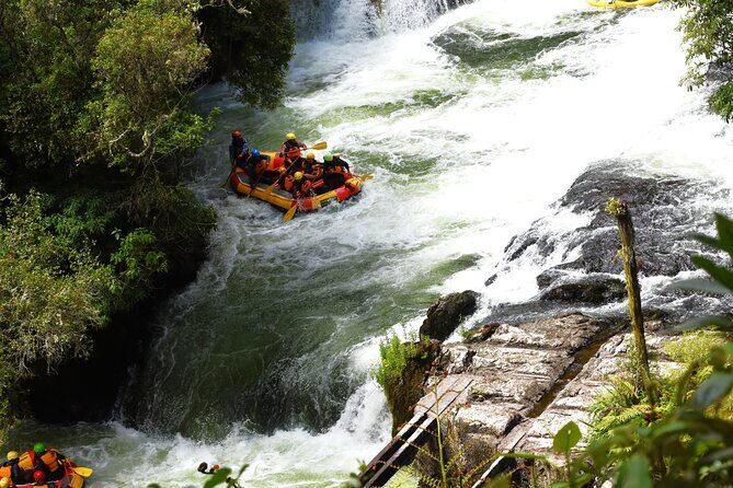 10 Day North to South Island NZ Private Tour from Auckland - Final Words: Who Will Benefit Most?