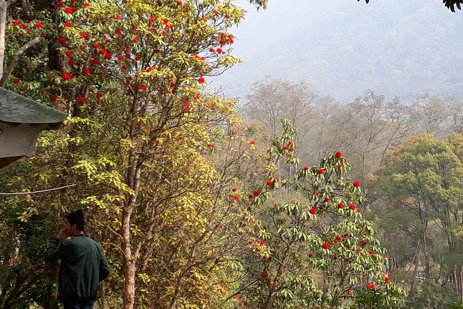 10 days Annapurna Base Camp Trek - FAQ